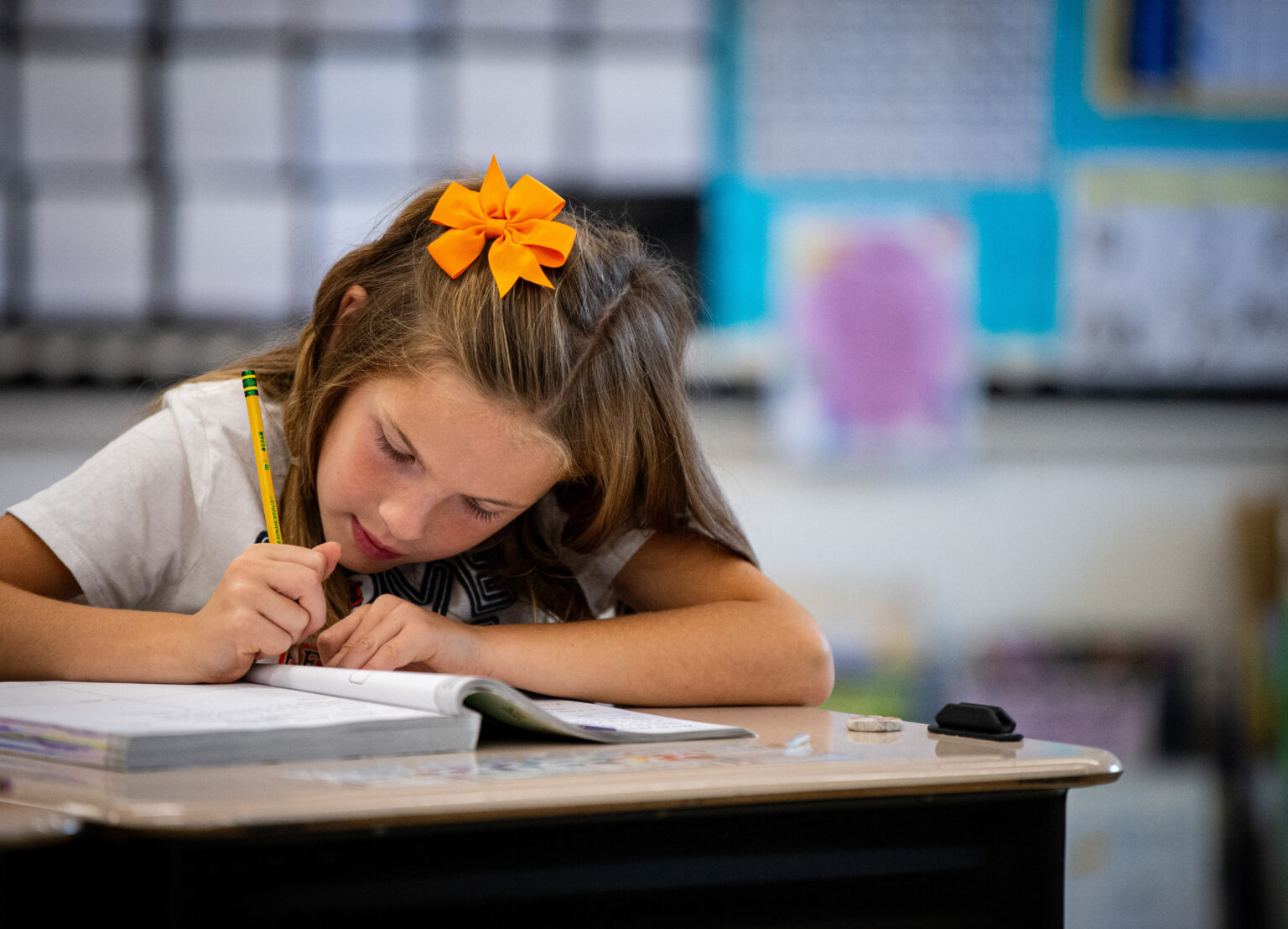 Forest View Elementary School